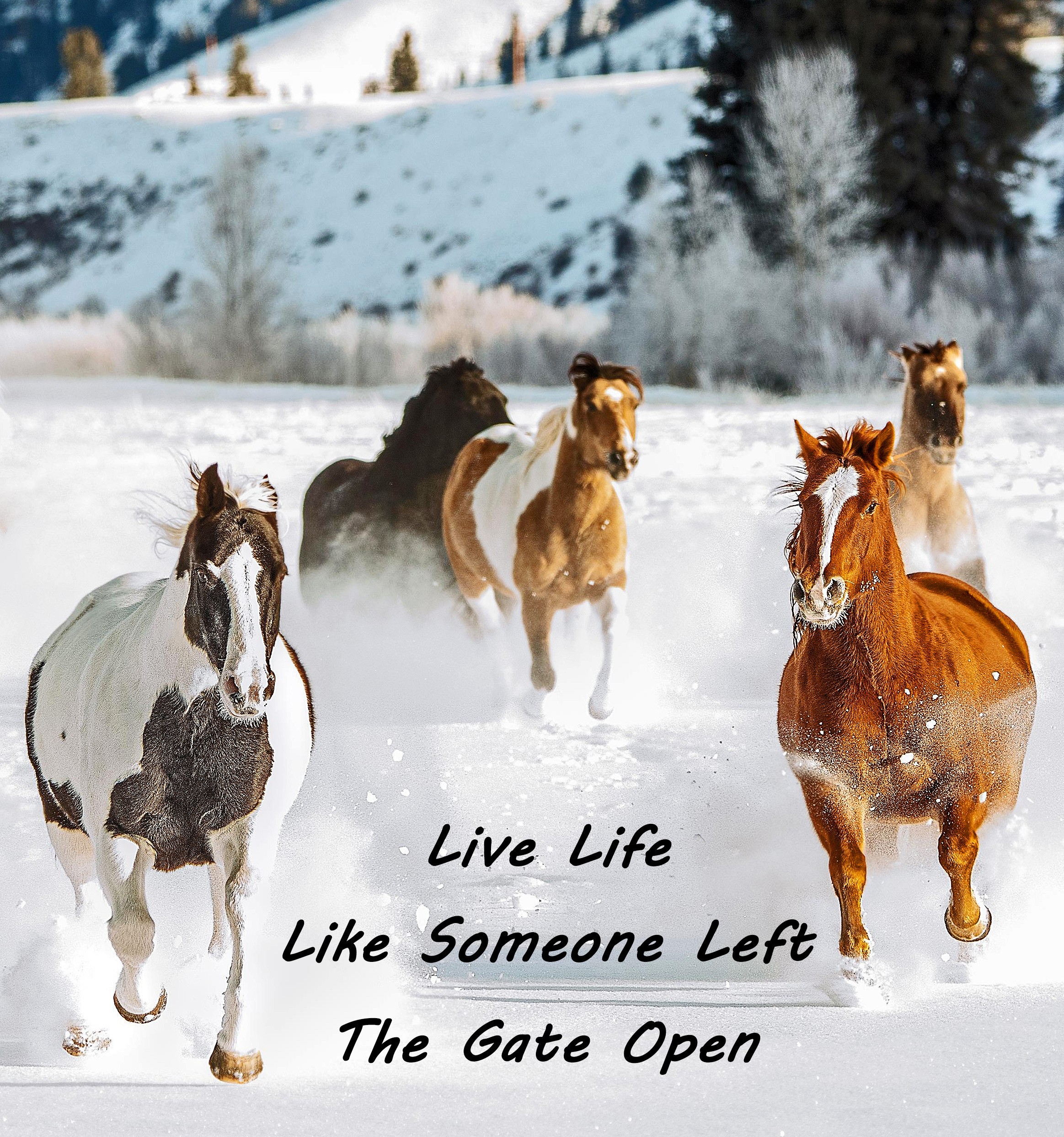 Open Gates – Abba's Art