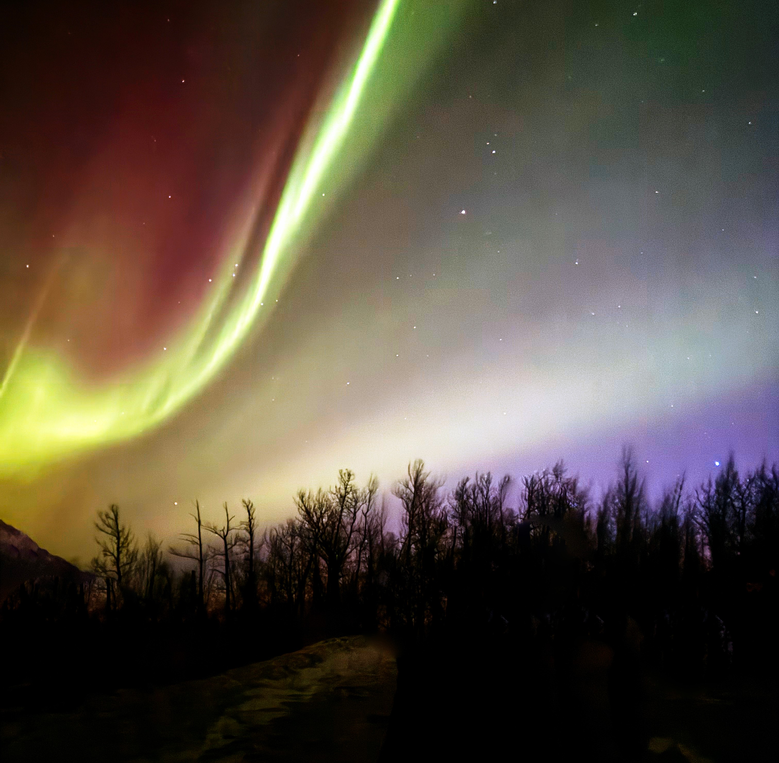 Quintessential Light Show – Abba's Art